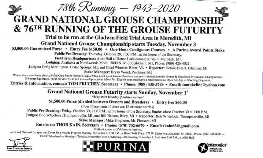 78th running of the Grand National Grouse Championship | Grand National ...